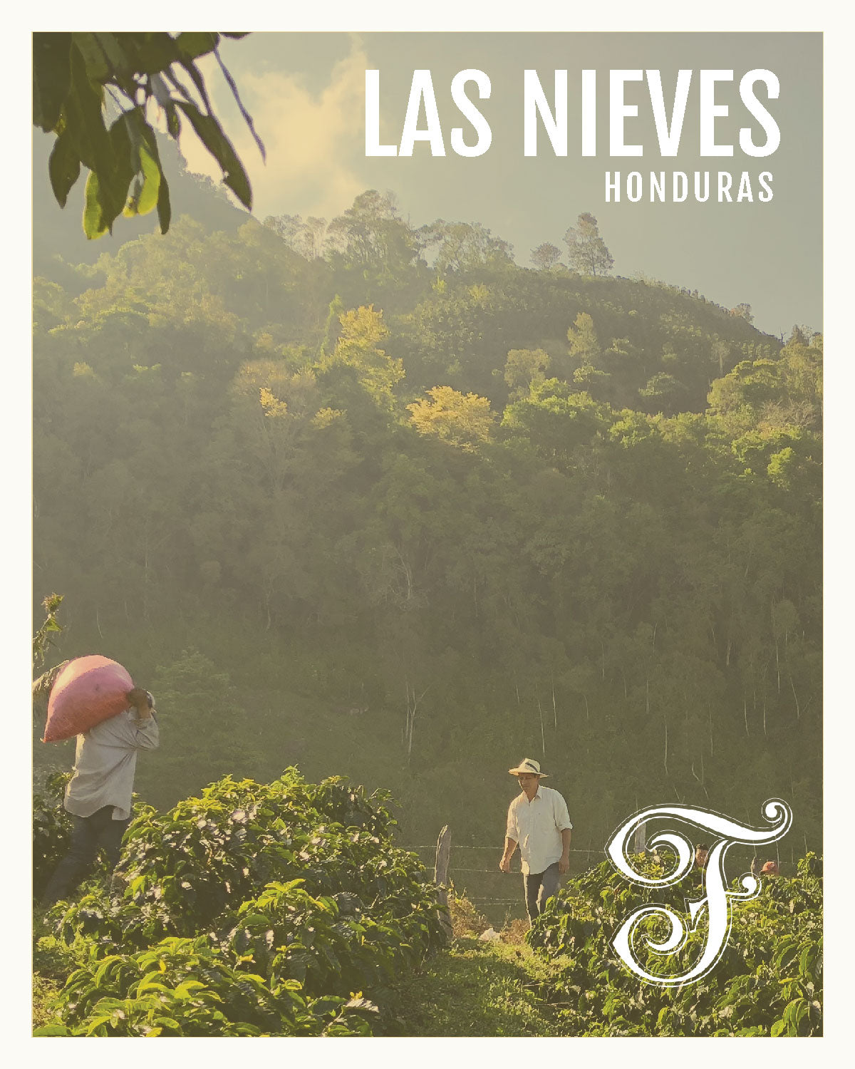 Honduras Las Nieves